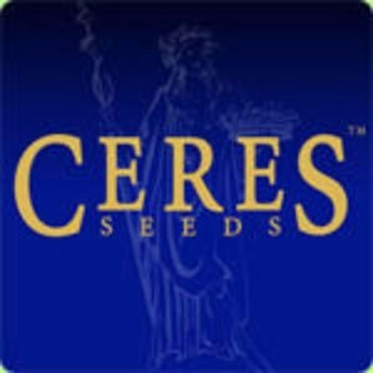 Ceres Seeds: Award-Winning Varieties | Leafly