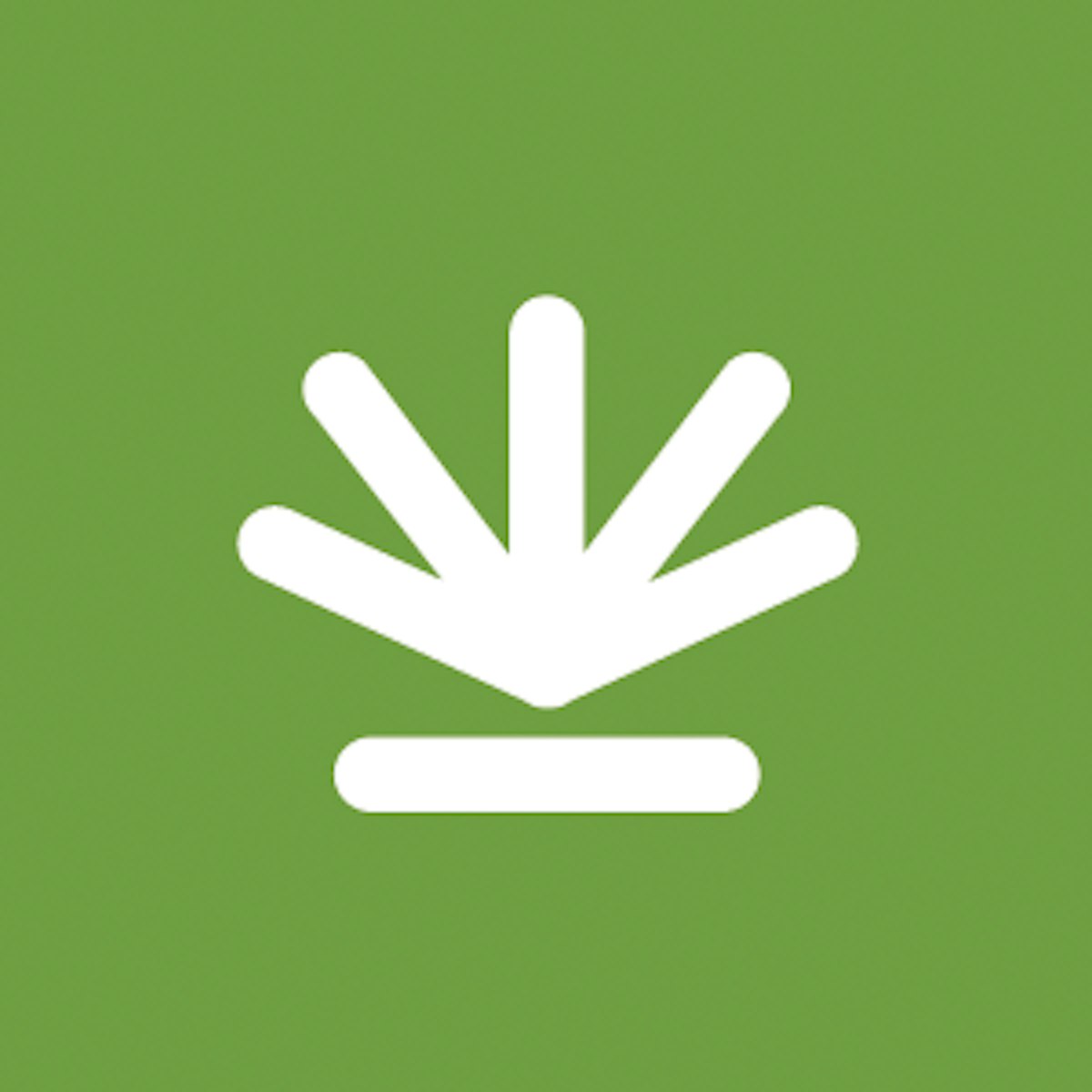 KUZA: From Bud and Bean to Bar | Cannabis Confectionary Couture | Leafly