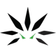 Ooowee | Leafly