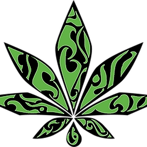 Lokahi Leaf CBD Health & Wellness: Healing begins in Nature! | Leafly