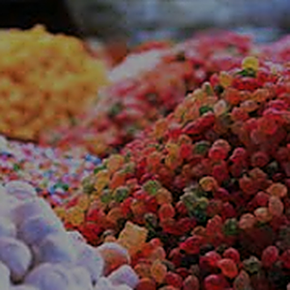 Rey's Sweet Tooth Products on Leafly