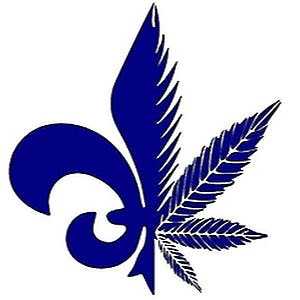 Quebec Cannabis Seeds: Quebec Blue Cannabis Seeds Feminized | Leafly