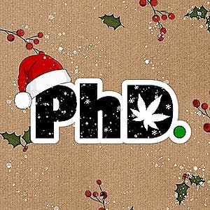 Pharmicated: Slush Concentrate - 1 gram - Jungle Cake Badder - 62.68% ...