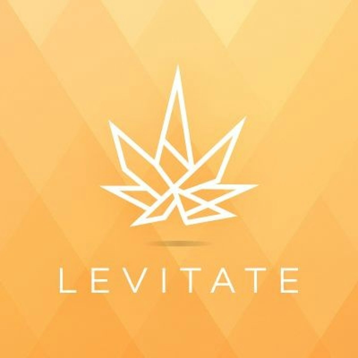 Levitate Confections: Fantastic flavors to tantalize taste buds and ...