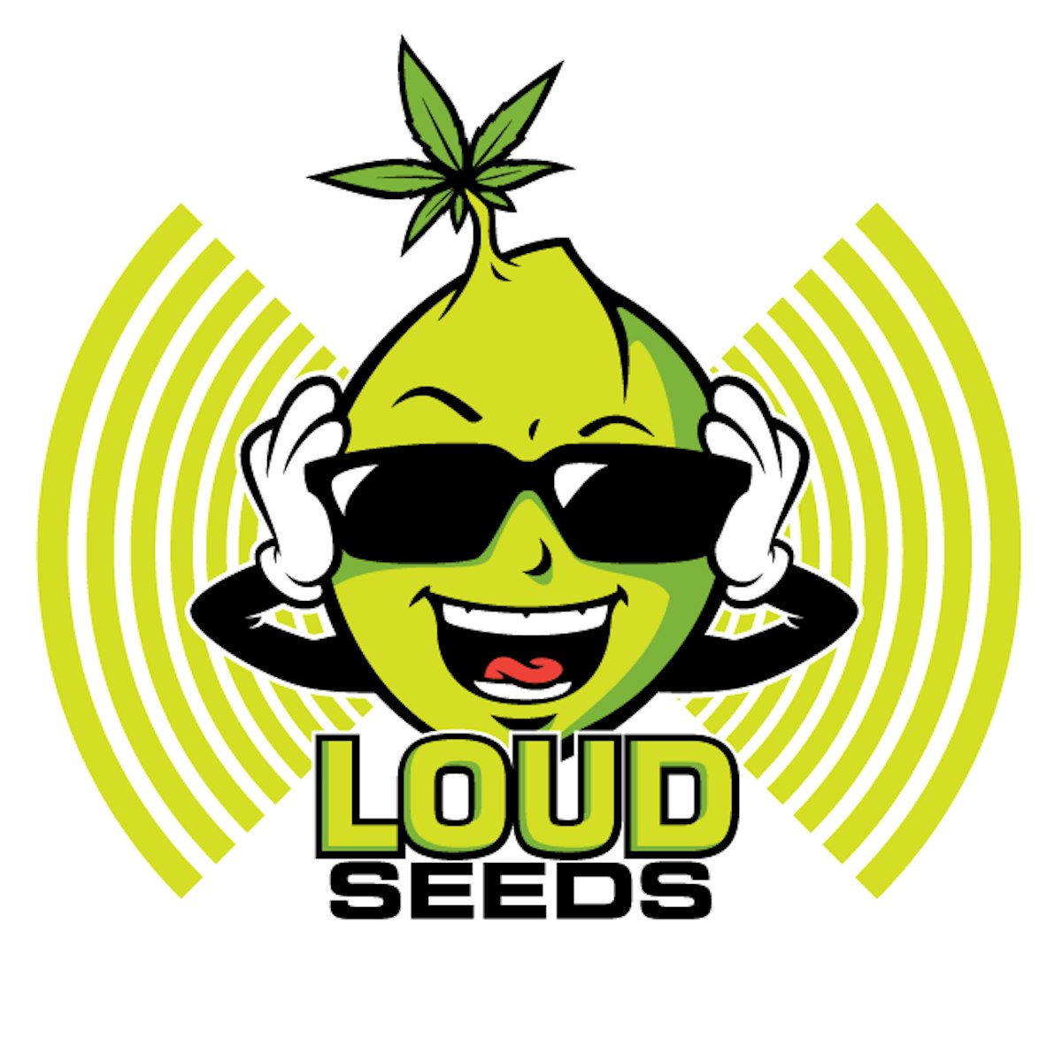 Loud Seeds: Original Californian Style Genetics | Leafly