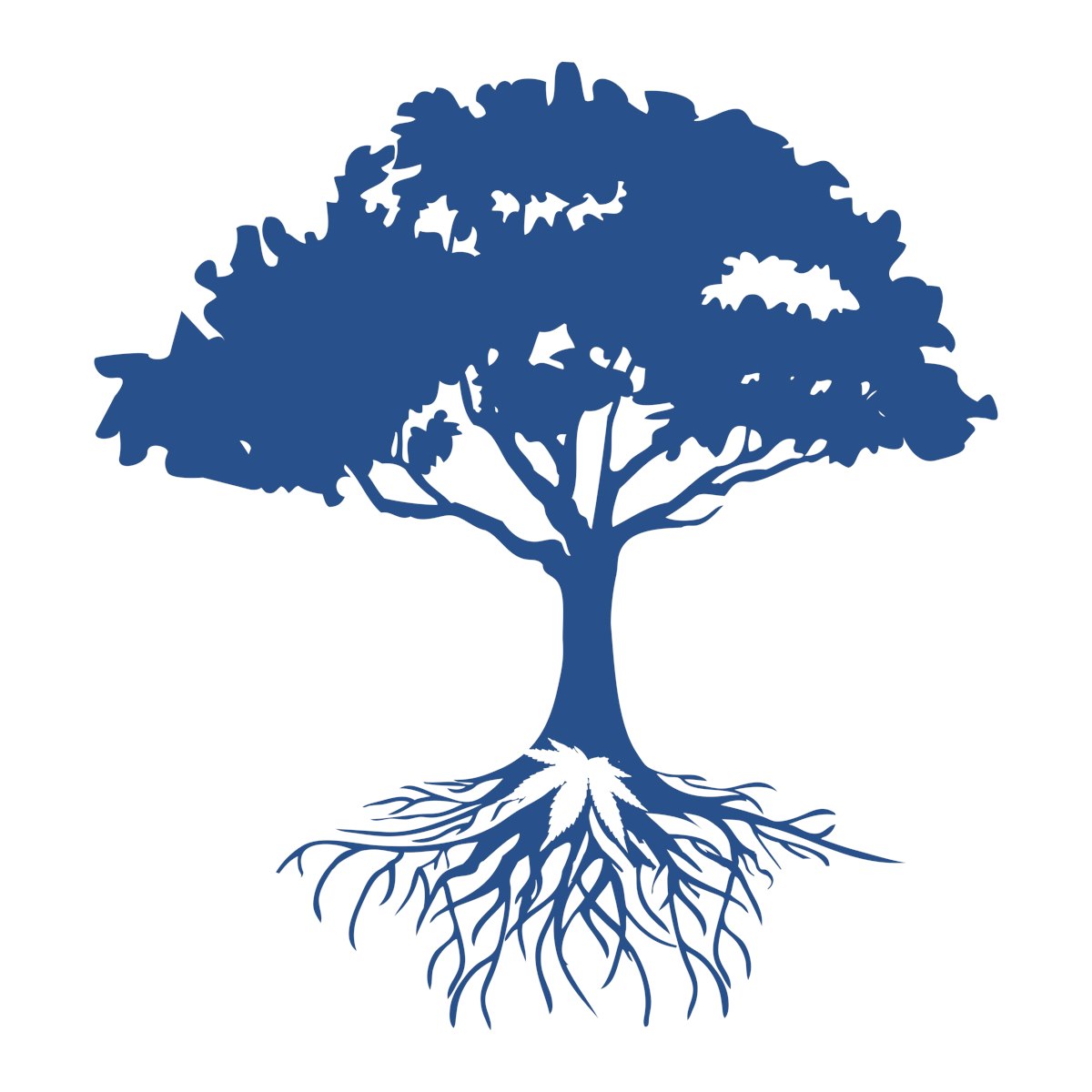 Blue Roots Cannabis Co.: Stay true to your roots. | Leafly