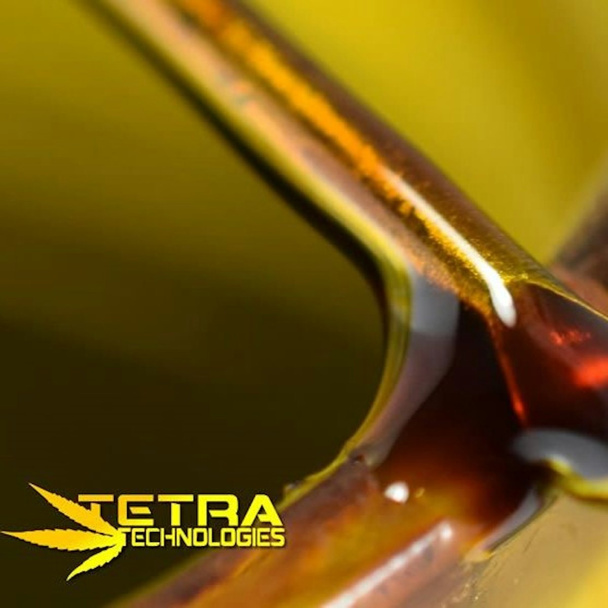 Tetra Concentrates: A Clean and Affordable Alternative Medicine | Leafly
