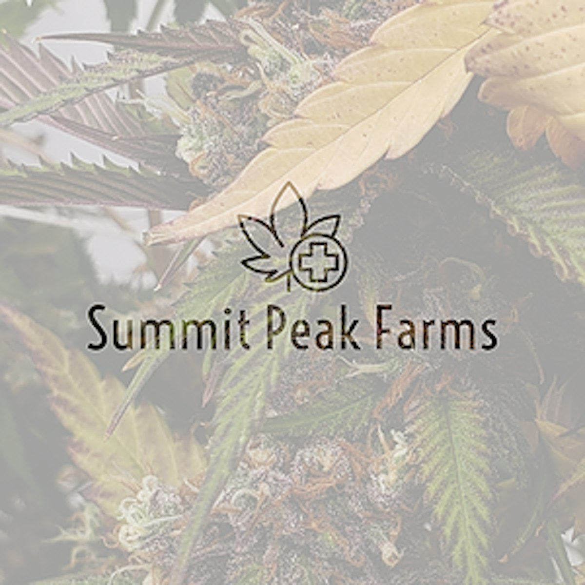 Summit Peak Farms: "The Highest Peak" | Leafly