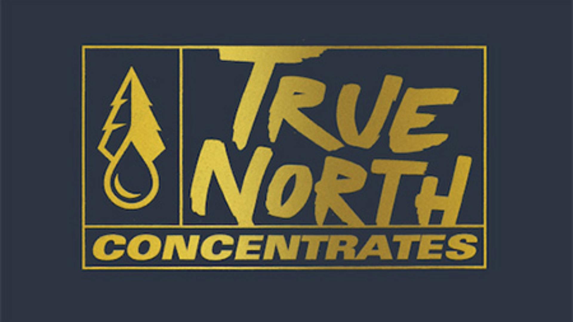 True North Collective MI: From Michigan For Michigan | Leafly