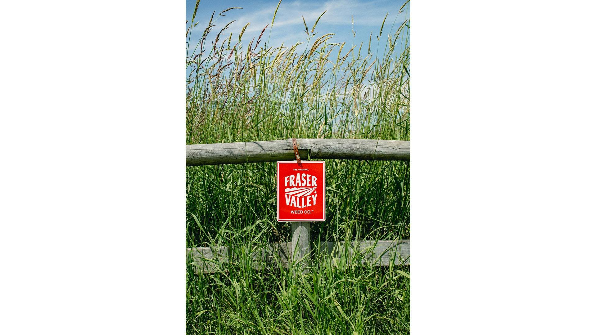 The Original Fraser Valley Weed Co.: Weed Grows Better in the Valley ...