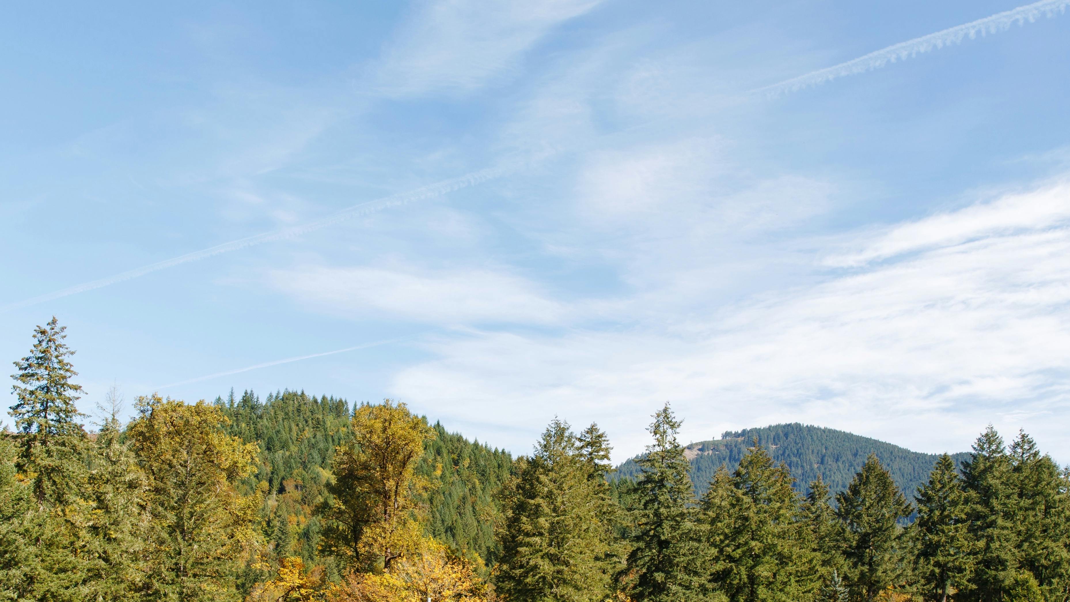 Winberry Farms: Organically Grown in Oregon On The Banks of Winberry ...