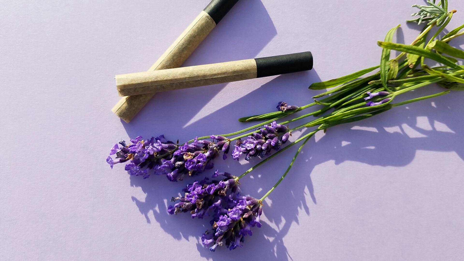 Vance Global: Smoke A Vance | Leafly