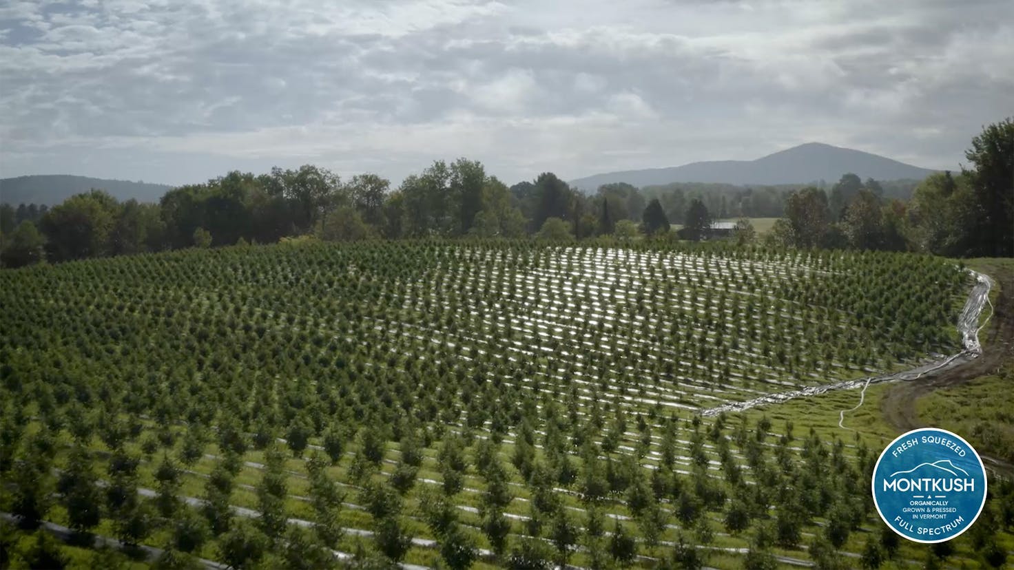 MONTKUSH: Products from our own USDA Organic CBD Rosin | Leafly