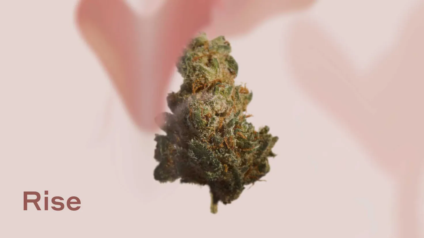 Tokyo Smoke: Cannabis made simple. | Leafly