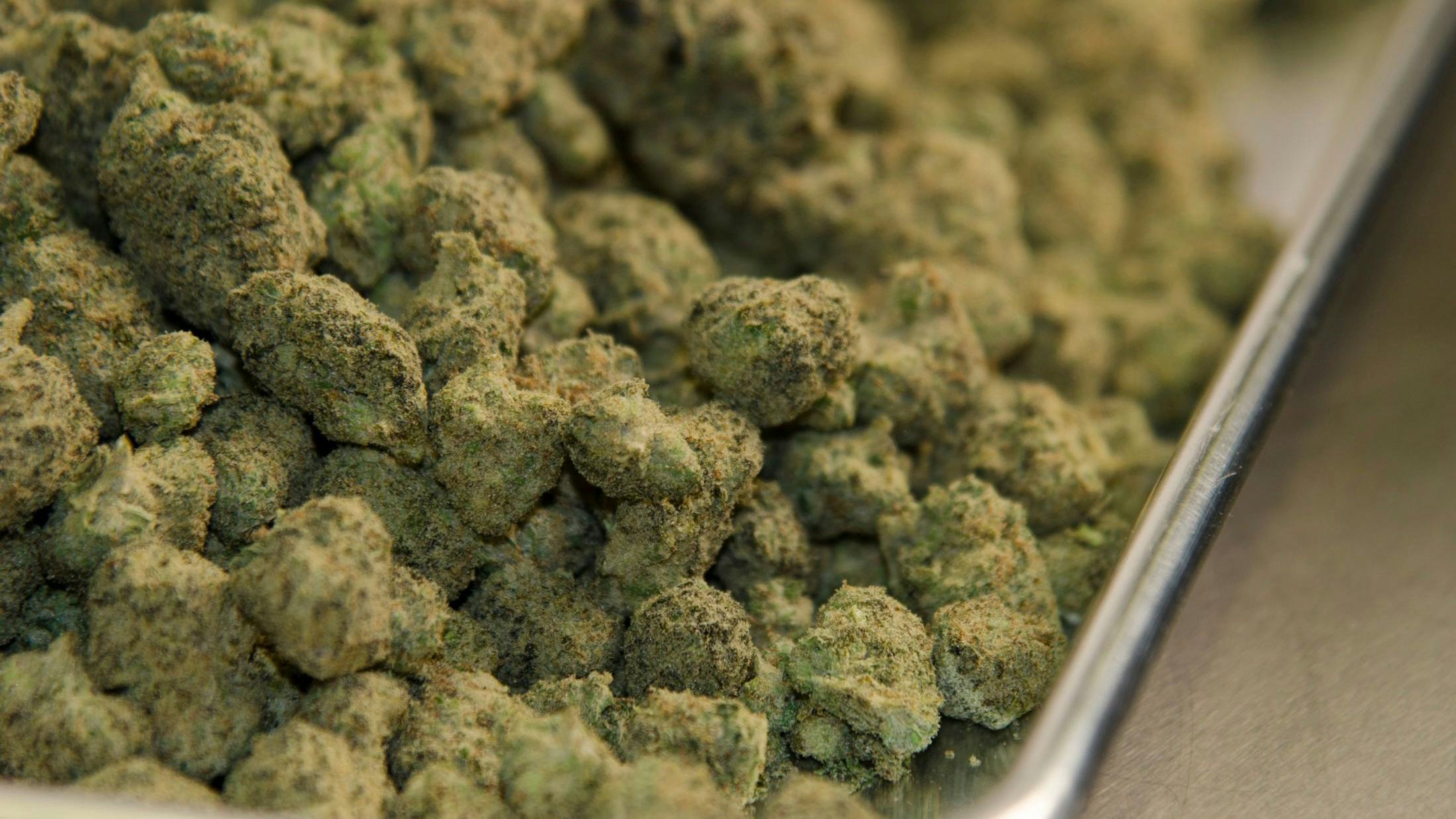 The Greenery Hash Factory: Representing the original Hash tradition ...