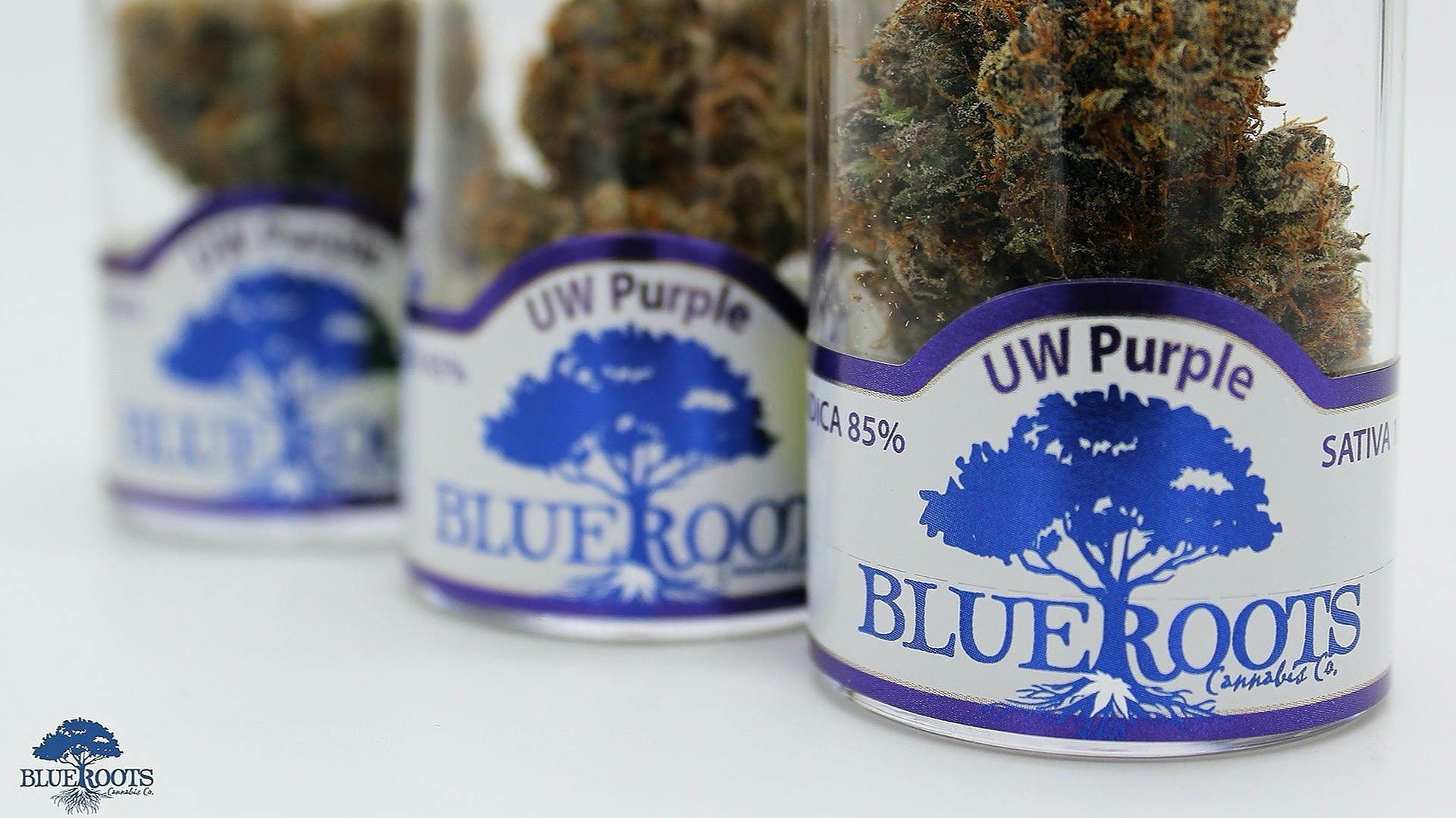 Blue Roots Cannabis Co.: Stay true to your roots. | Leafly