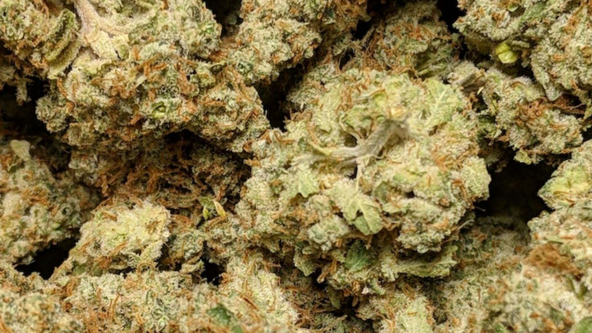 Avitas: It feels good to feel good. | Leafly