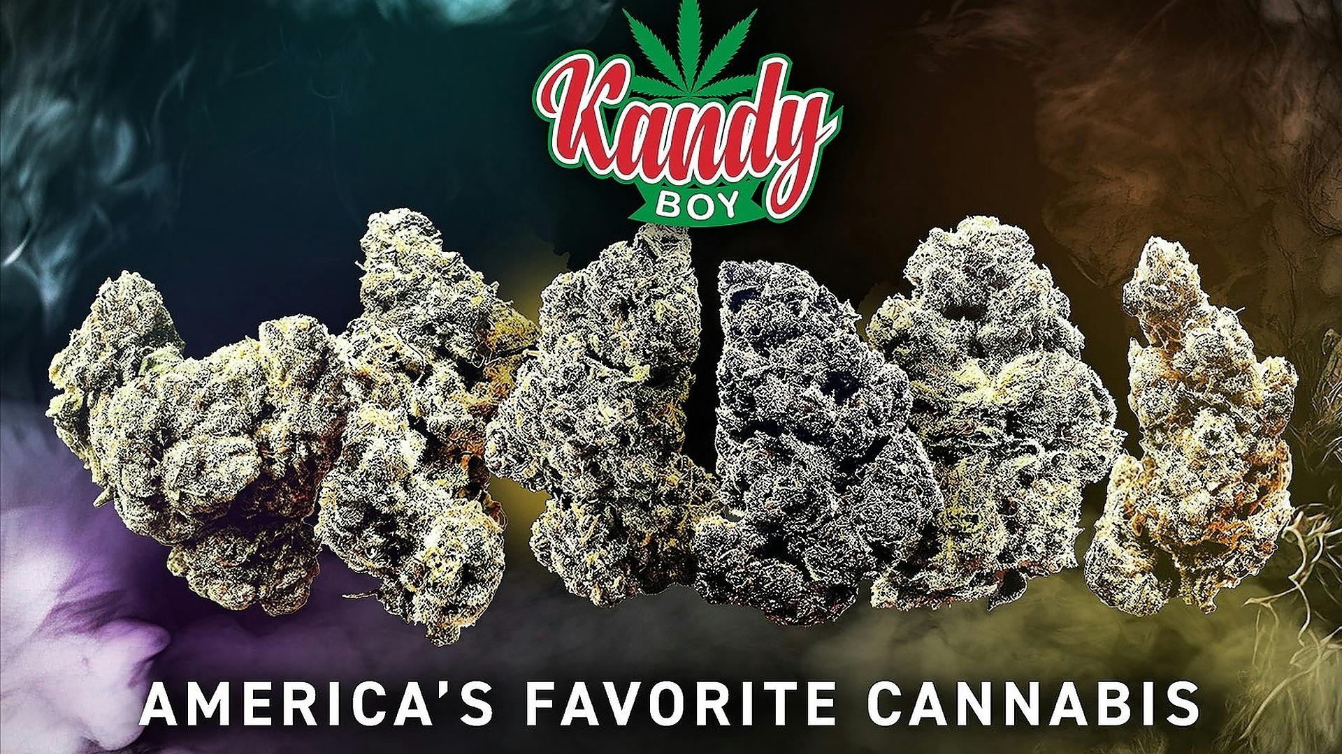 Kandy Boy: Americas Favorite Cannabis | Leafly
