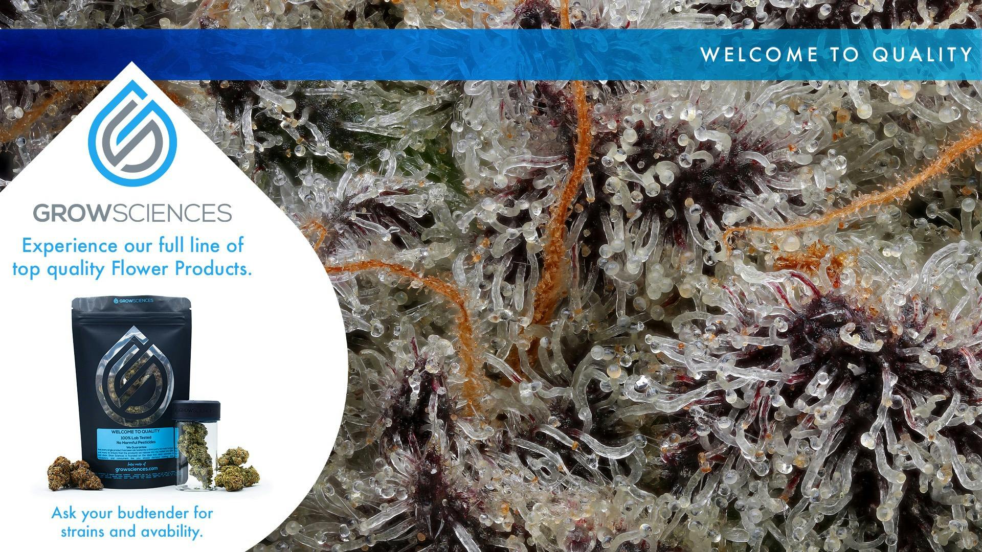 Grow Sciences: Welcome To Quality | Leafly