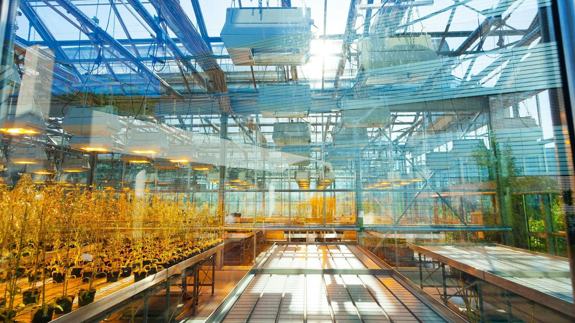 Hydrobuilder: Complete Garden Center | Leafly