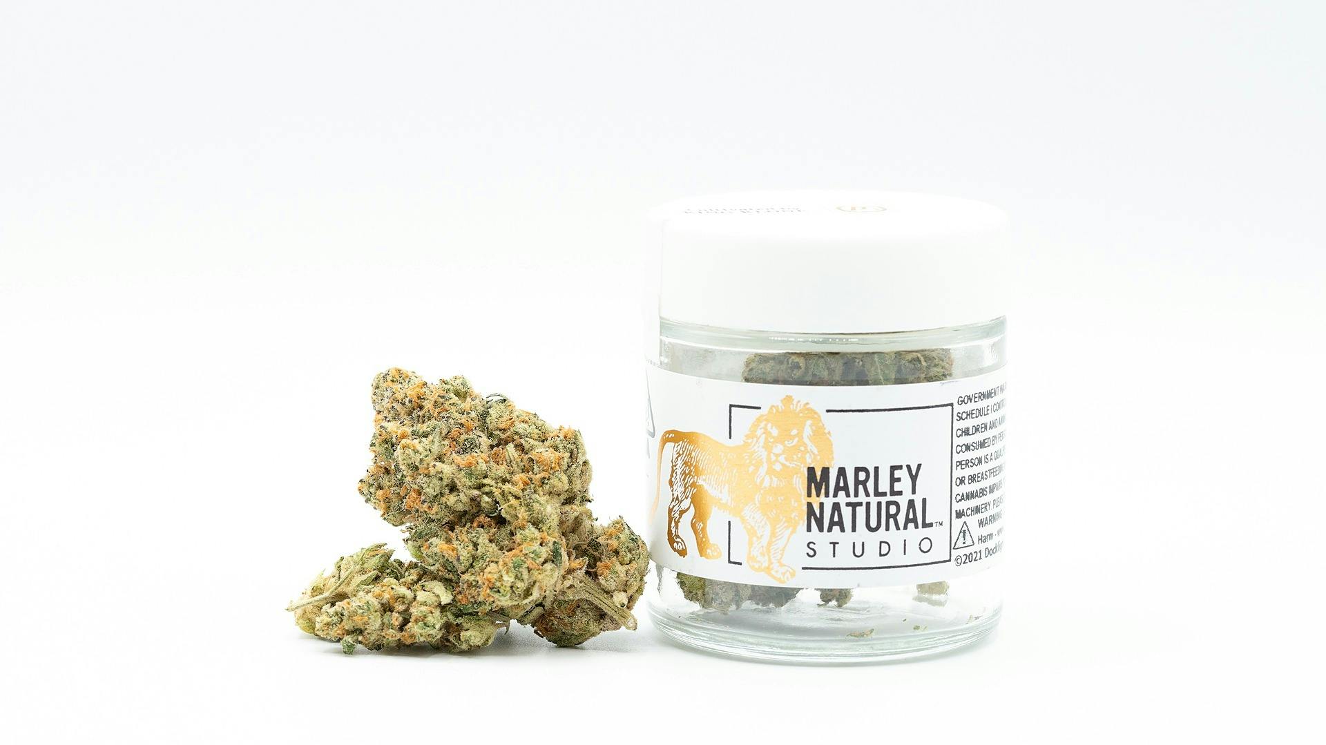 Marley Natural: Crafted with Respect for the Positive Potential of the ...