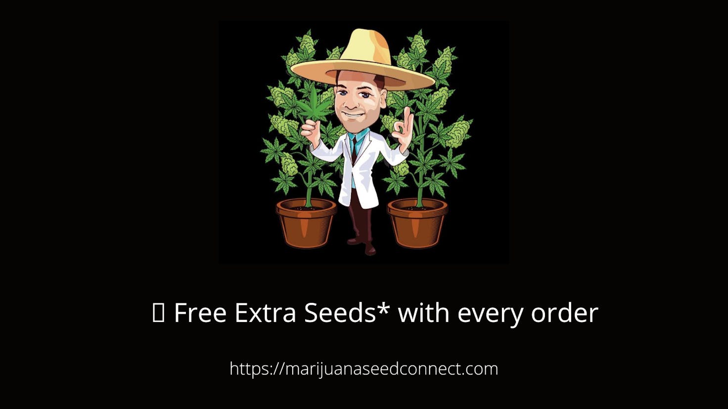 The Seed Connect Products on Leafly