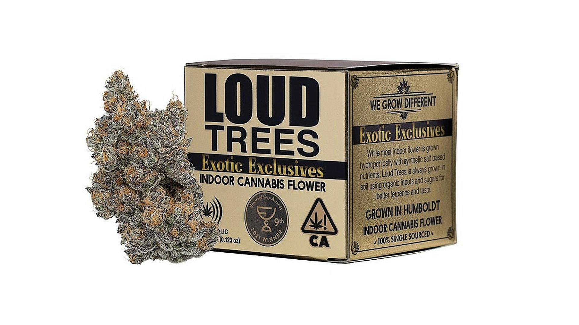 Talking Trees: Listen to the Trees | Leafly