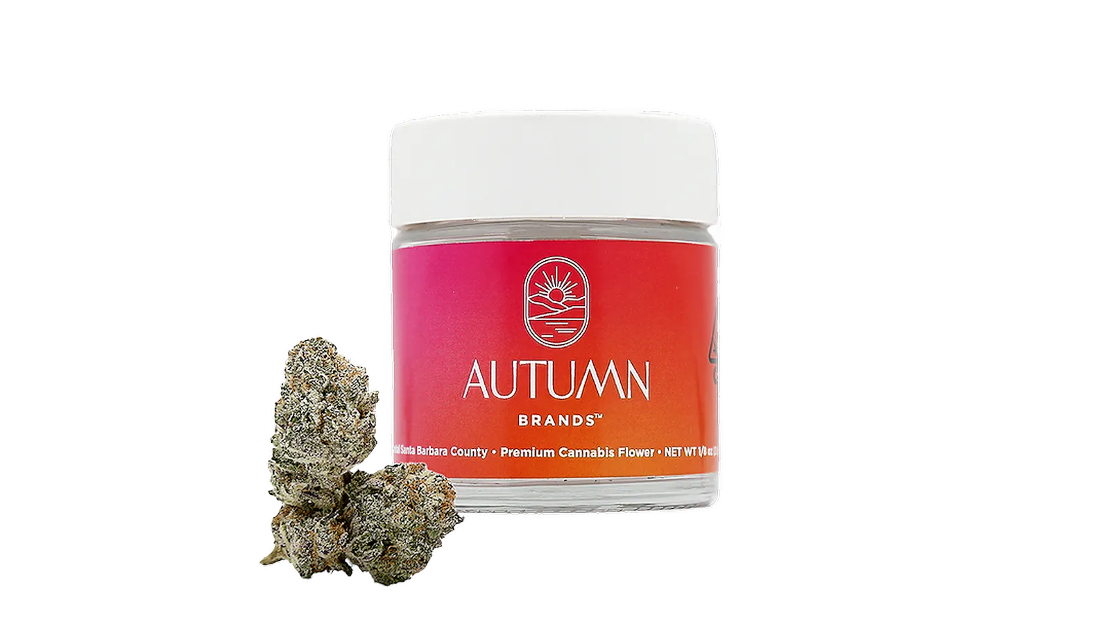 Autumn Brands: Wellness, Balance & Holistic Health - Inhale Exhale ...