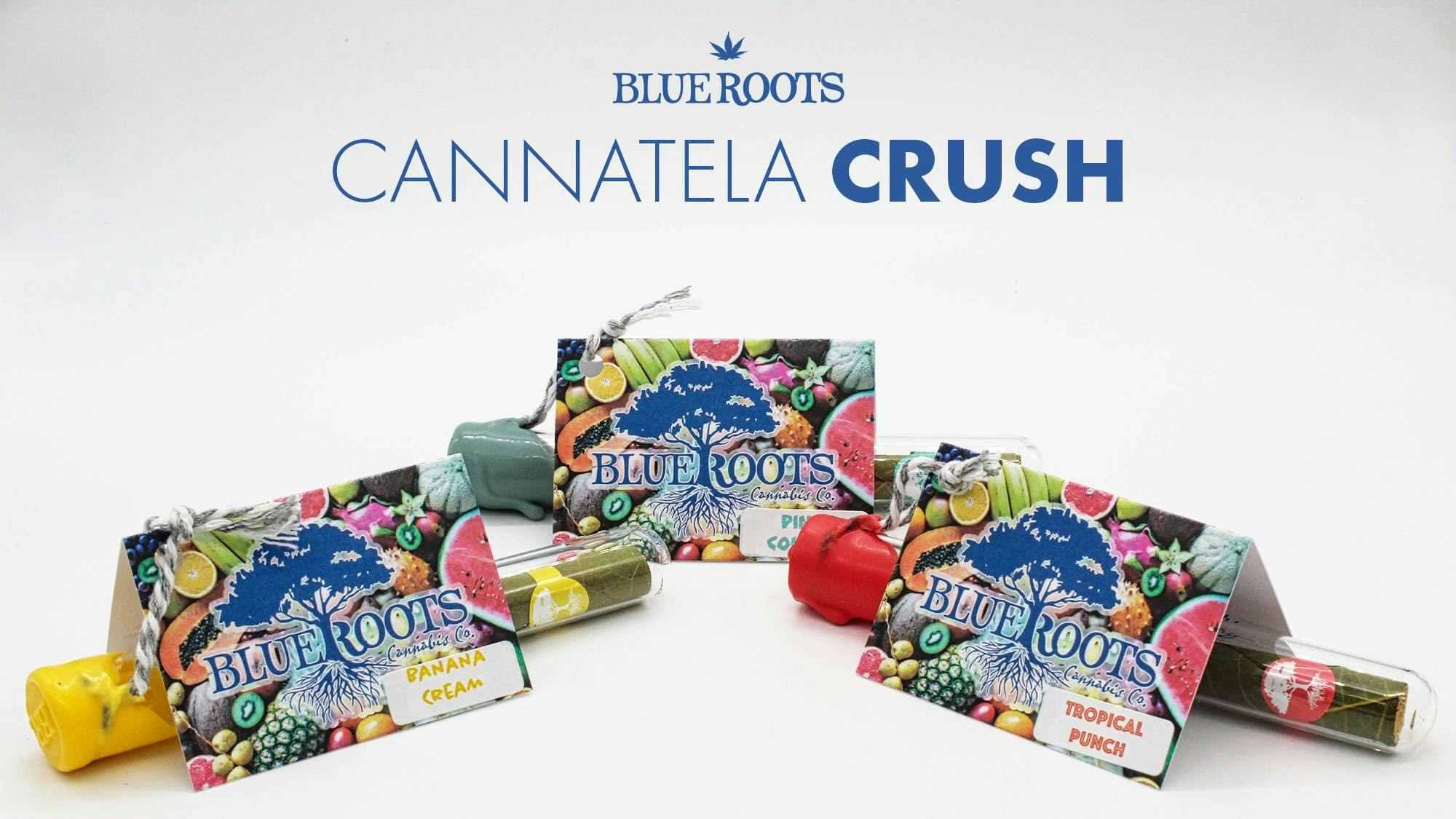 Blue Roots Cannabis Co.: Stay true to your roots. | Leafly