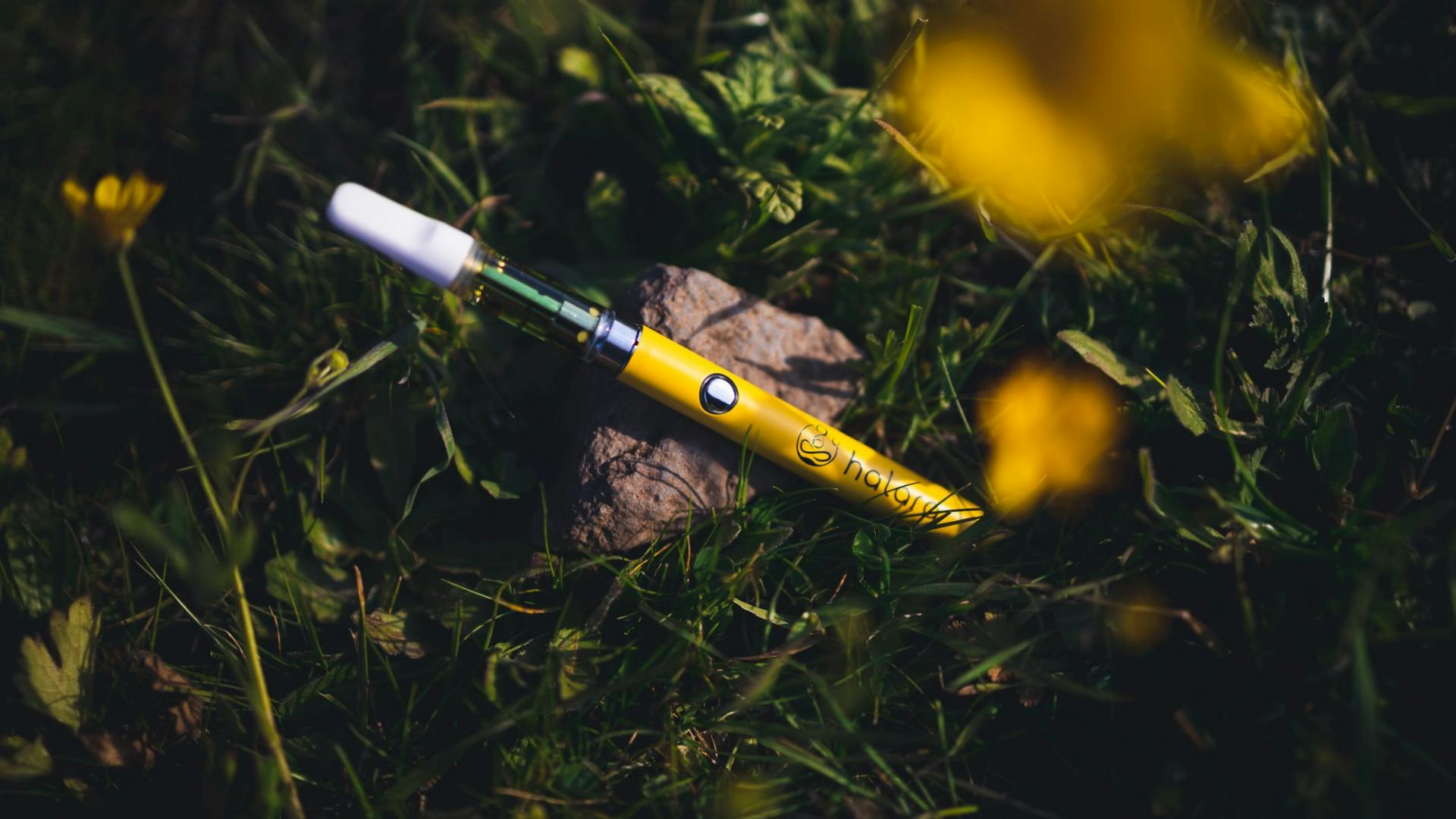 Halara: Take it easy | Leafly