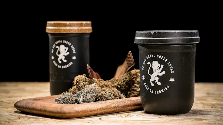Royal Queen Seeds: World’s most trusted cannabis seed bank | Leafly