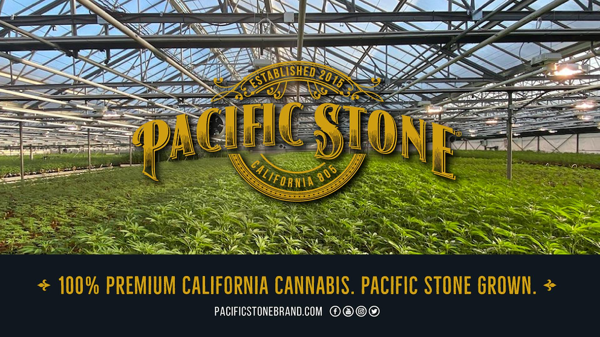 Pacific Stone: 100% Premium Greenhouse Cannabis. Pacific Stone Price ...