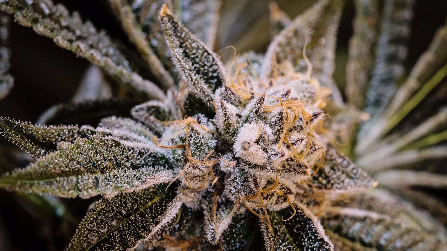 Matrix NV Products on Leafly