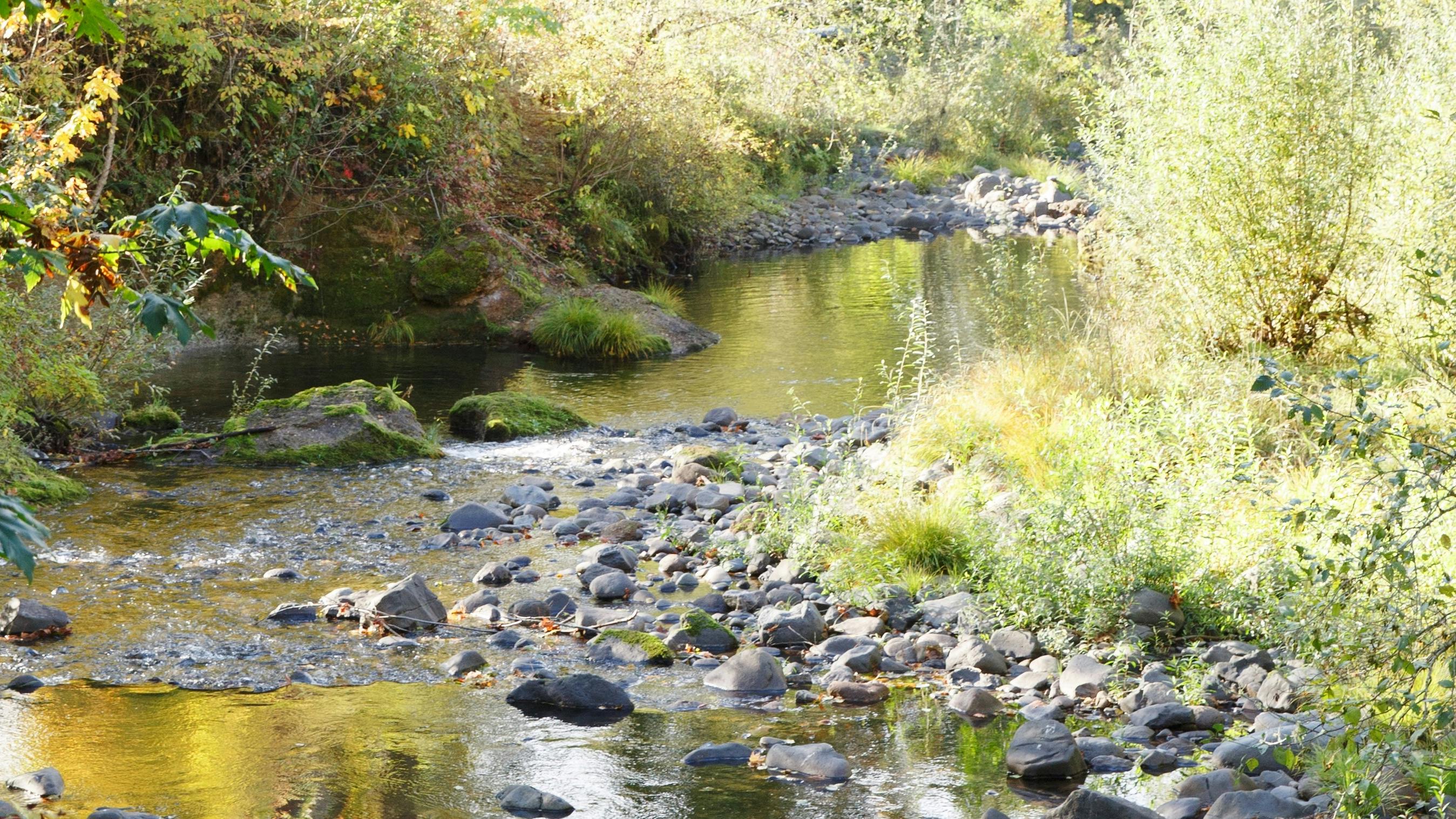 Winberry Farms: Organically Grown in Oregon On The Banks of Winberry ...