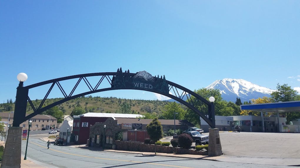 Best Rated Dispensaries in California of 2023 | Leafly