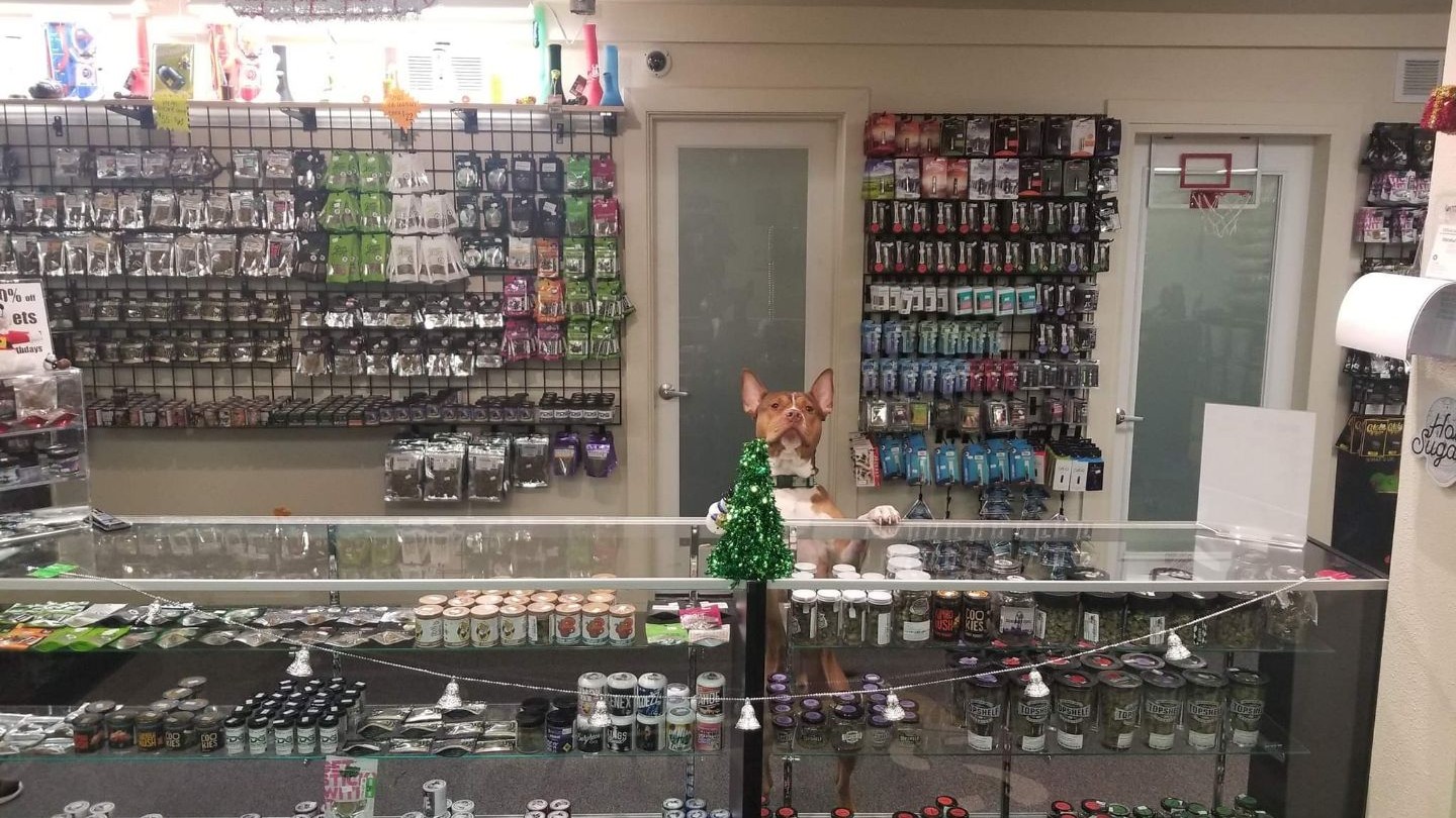 The Kushery at Lake Forest | Dispensary Menu, Reviews & Photos