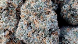 Hotbox Farms - Ontario | Dispensary Menu, Reviews & Photos