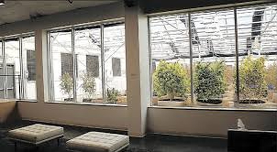 SoL Cannabis | Washoe Valley, NV Dispensary | Leafly