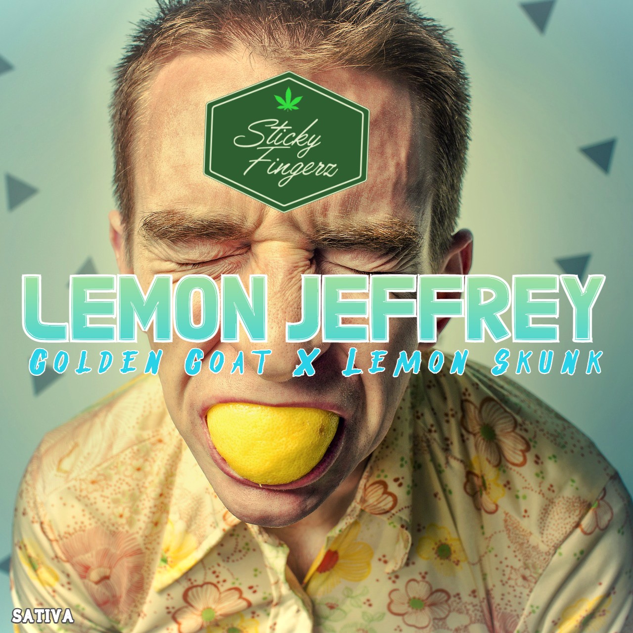 Sticky Fingerz | Denver, CO Dispensary | Leafly