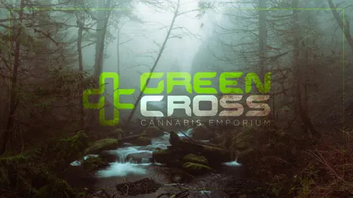 Green Cross Cannabis Emporium - South | Dispensary Menu, Reviews & Photos