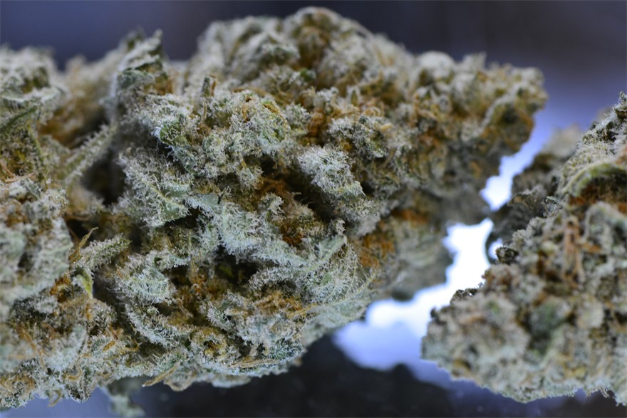 38％割引【返品?交換対象商品】 SKY WEED様 専用 ベビーカー 外出/移動用品-OTA.ON.ARENA.NE.JP