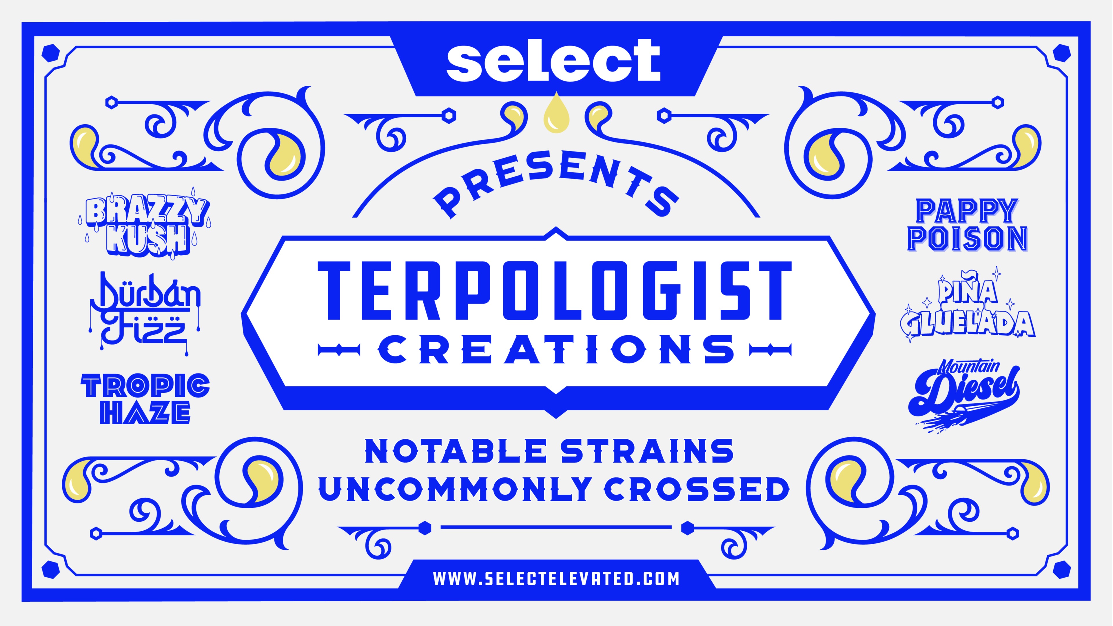 Curaleaf - New Lenox | Dispensary Menu, Reviews & Photos