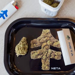 NETA - Brookline (Boston) - Rec | Dispensary Menu, Reviews & Photos