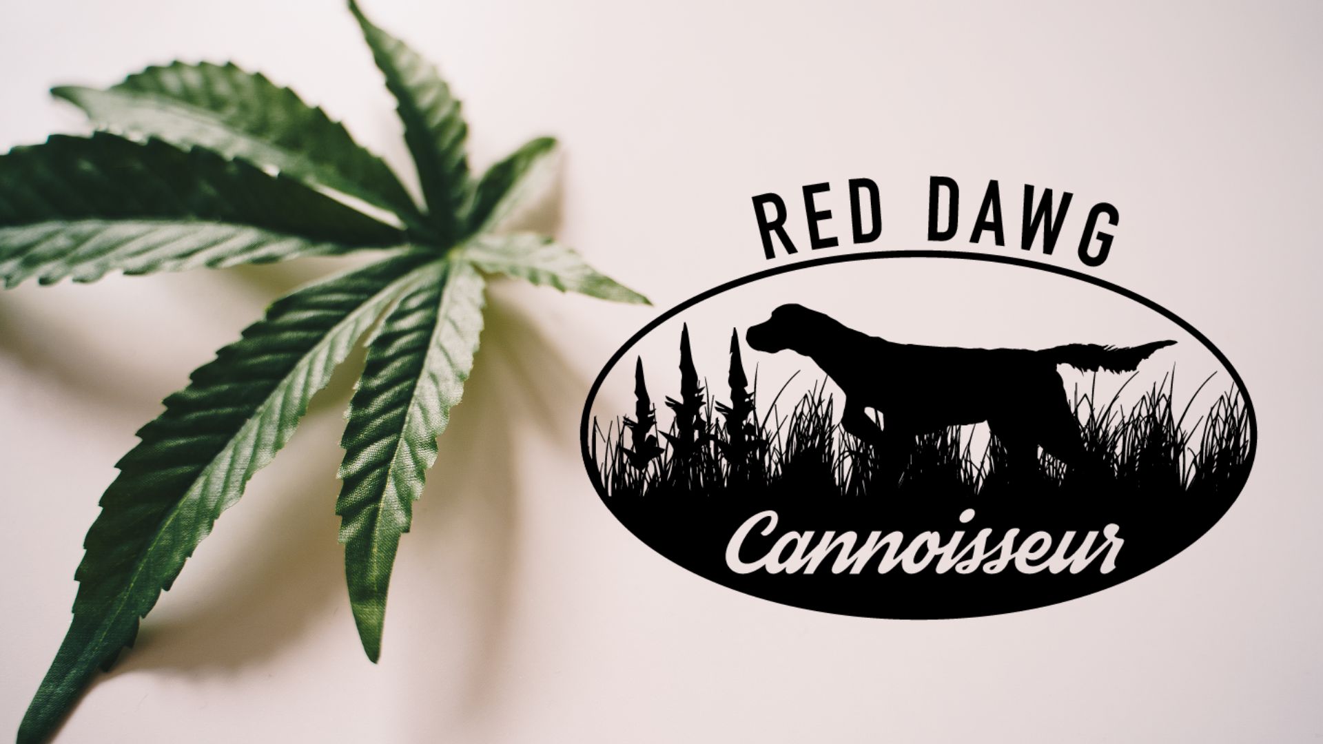 Red Dawg Cannoisseur | Dispensary Menu, Reviews & Photos
