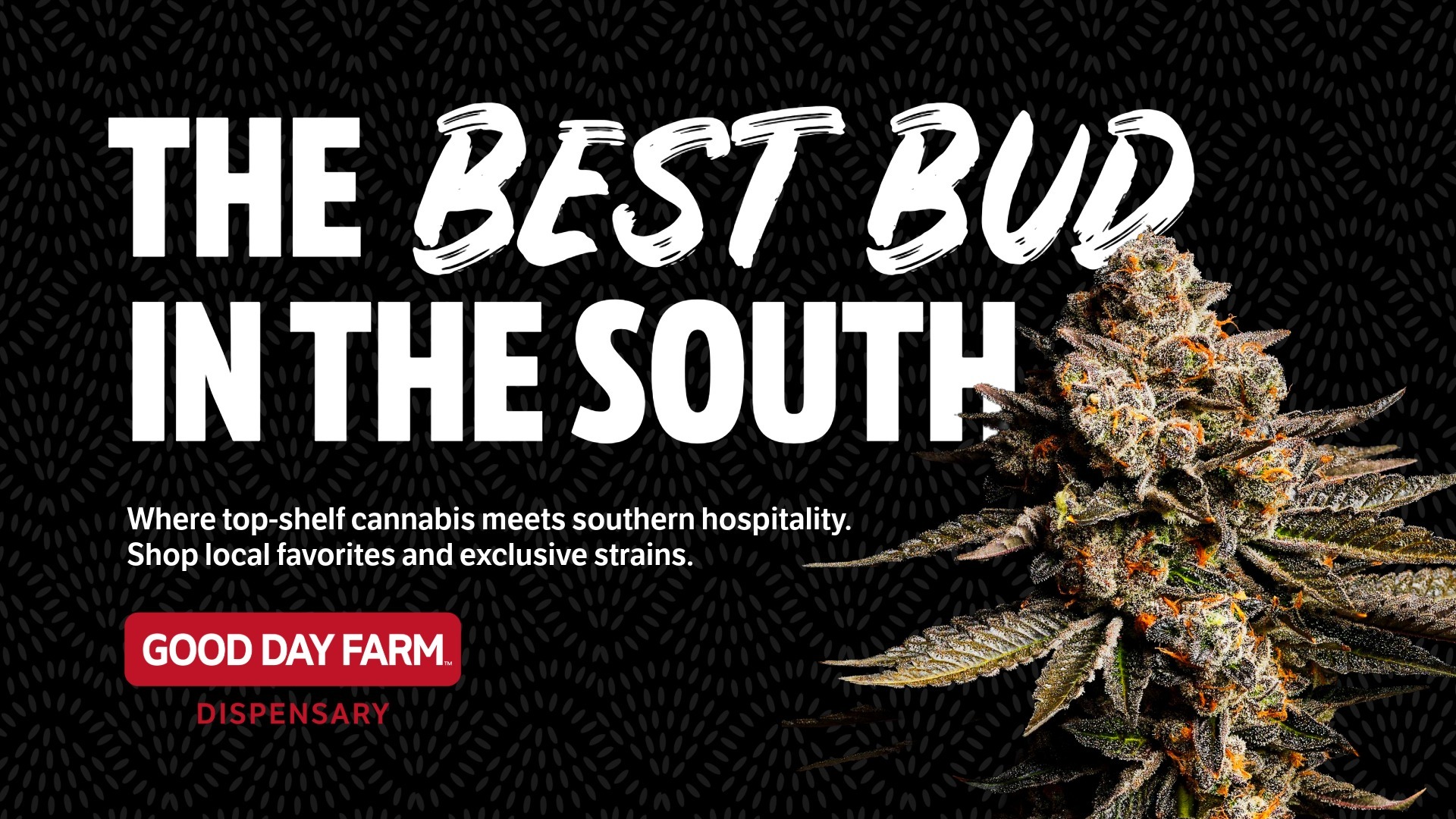 GOOD DAY FARM - Little Rock | Dispensary Menu, Reviews & Photos