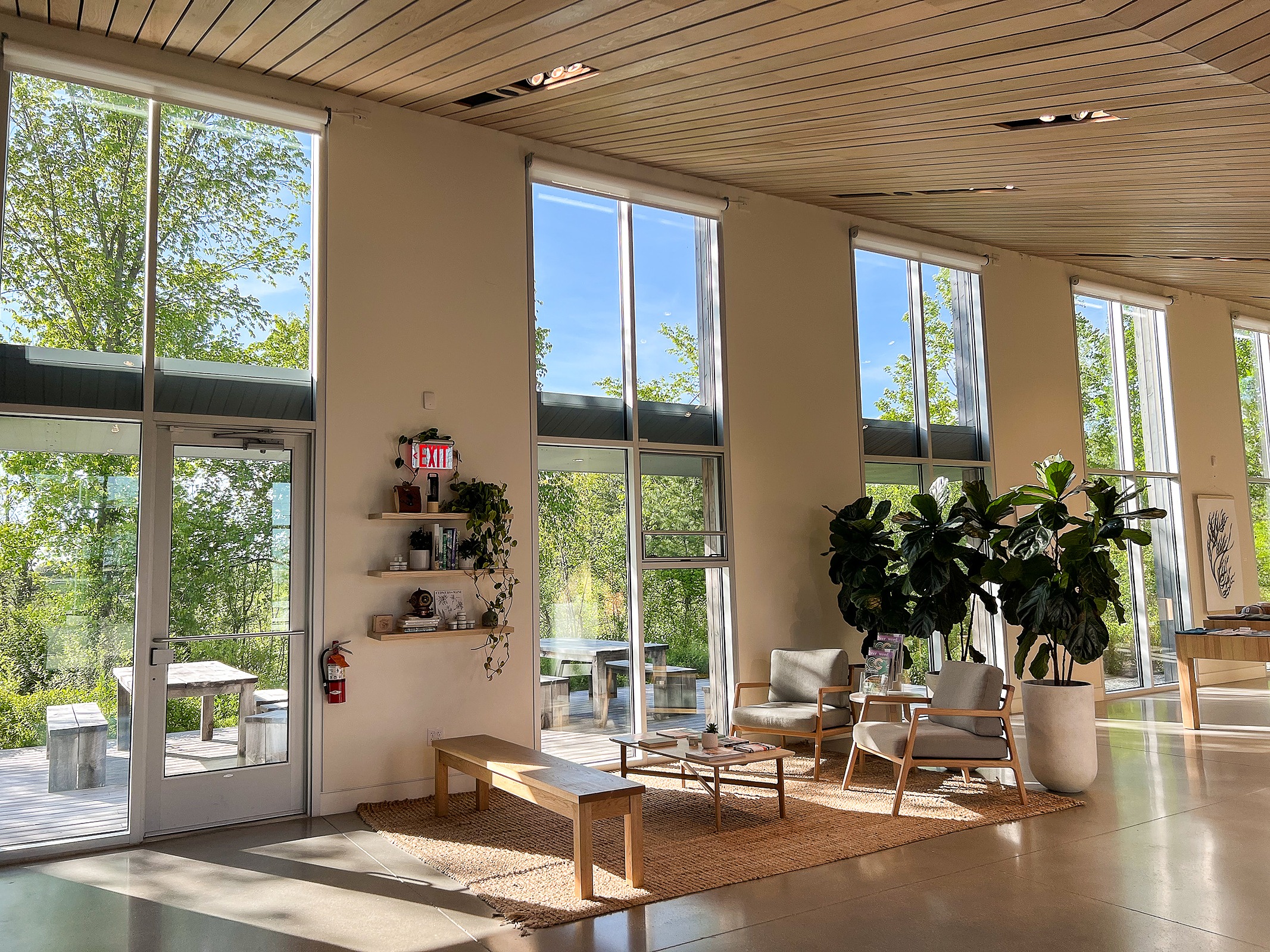 SeaWeed Co. - South Portland (Recreational) | South Portland, ME ...
