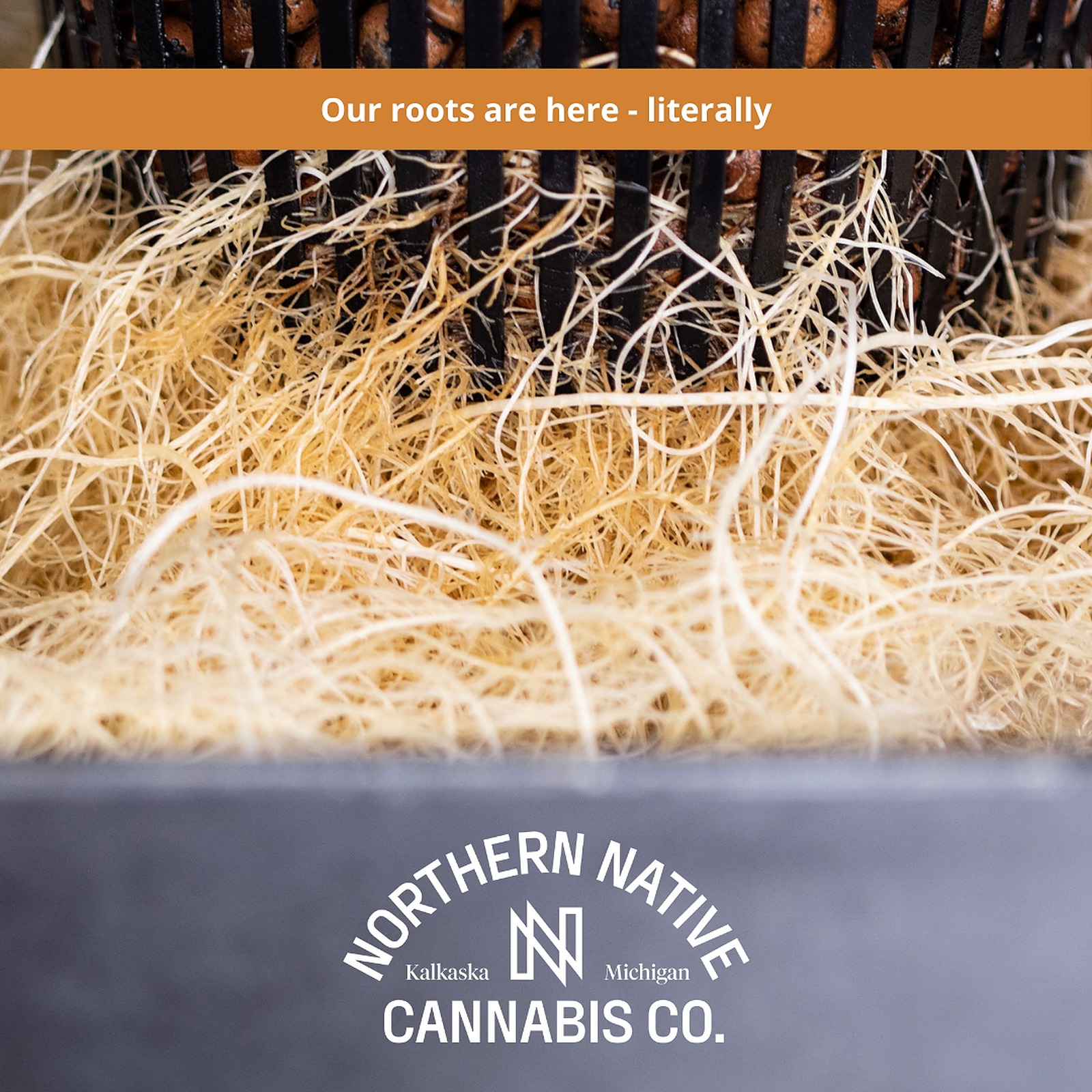 Northern Native Cannabis | Kalkaska, MI Dispensary | Leafly