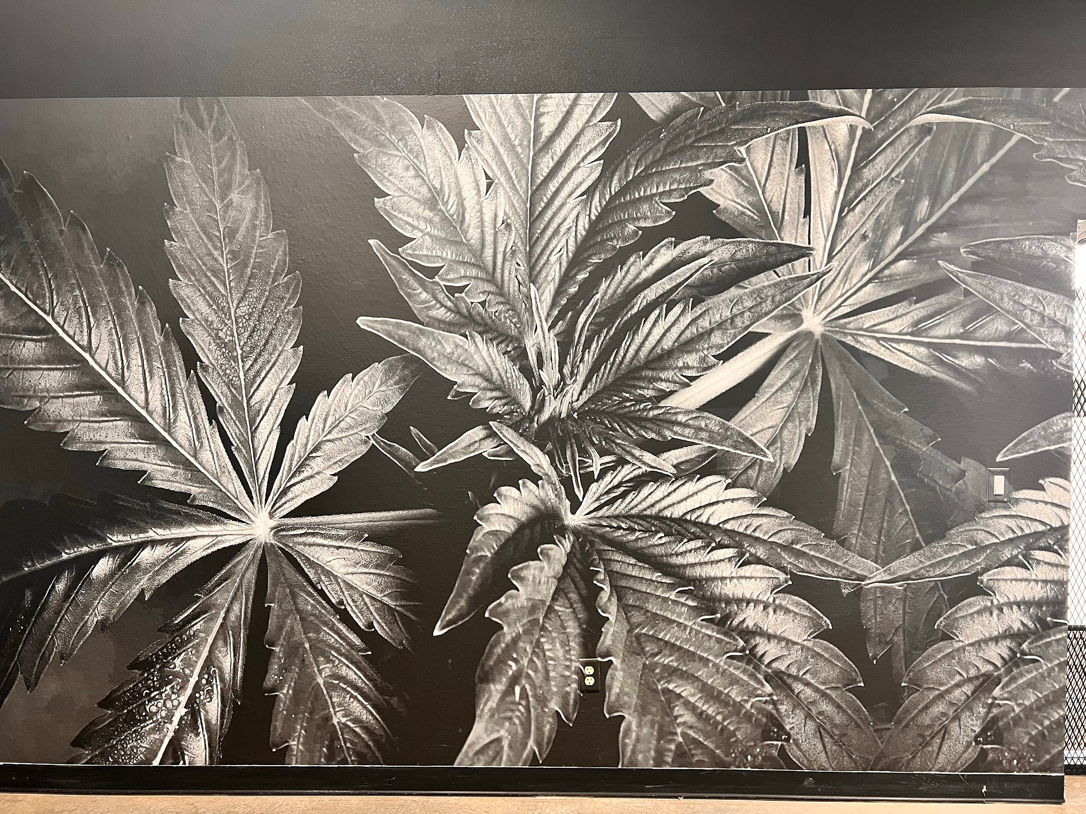 Enchanted Strains | Clovis, NM Dispensary | Leafly