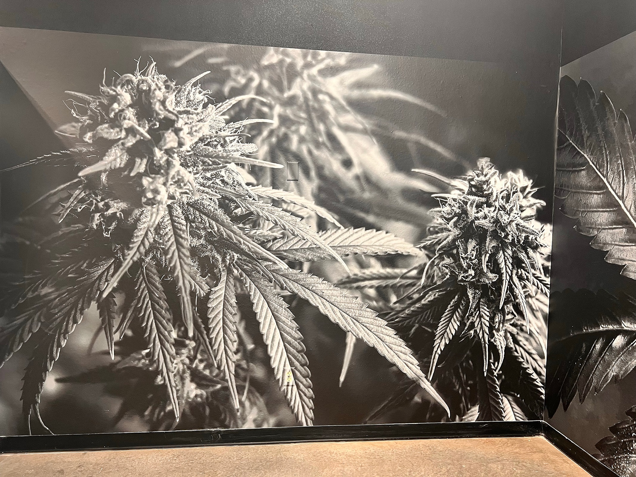 Enchanted Strains | Clovis, NM Dispensary | Leafly