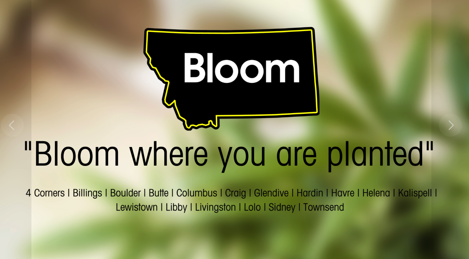 Bloom MT - Ashland | Dispensary Menu, Reviews & Photos